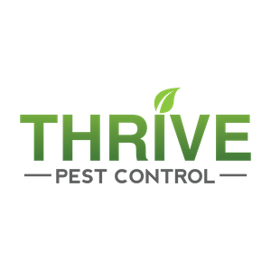 Bed Bug Vs. Flea Bites in Nashville, TN | Thrive Pest Control